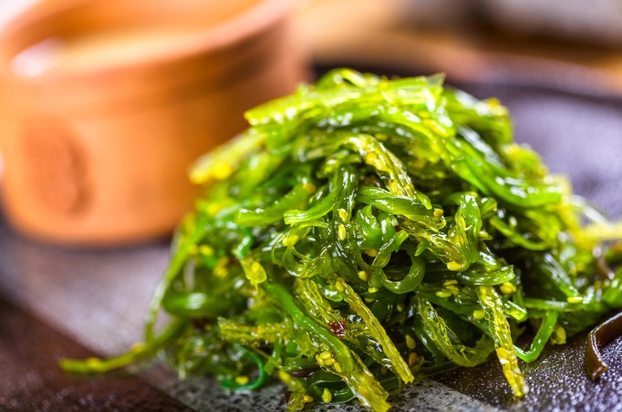 One of the Most Nutrient-Dense Foods in the World: Spirulina Algae - Hidabroot